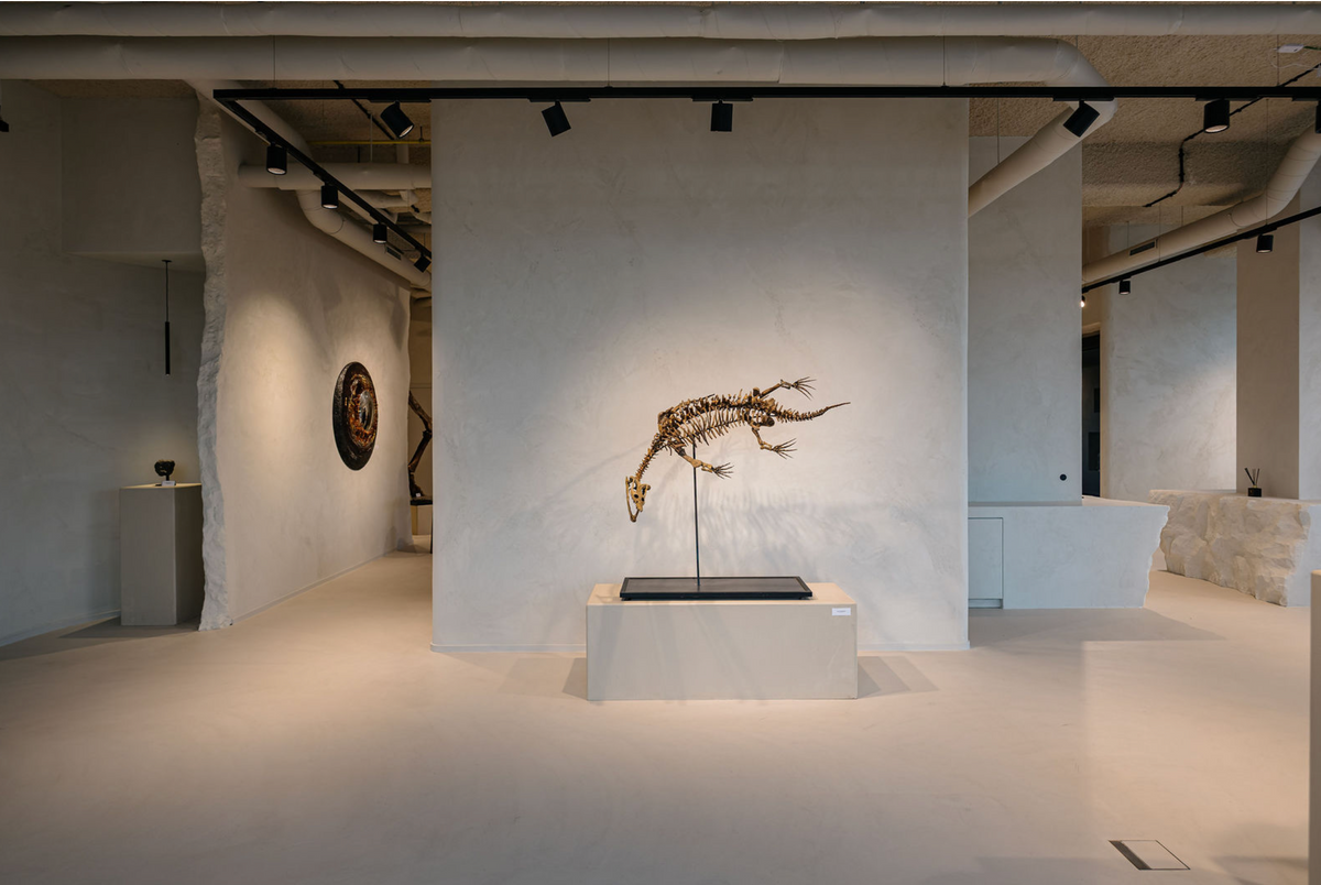 Ostend gallery – GRANADA